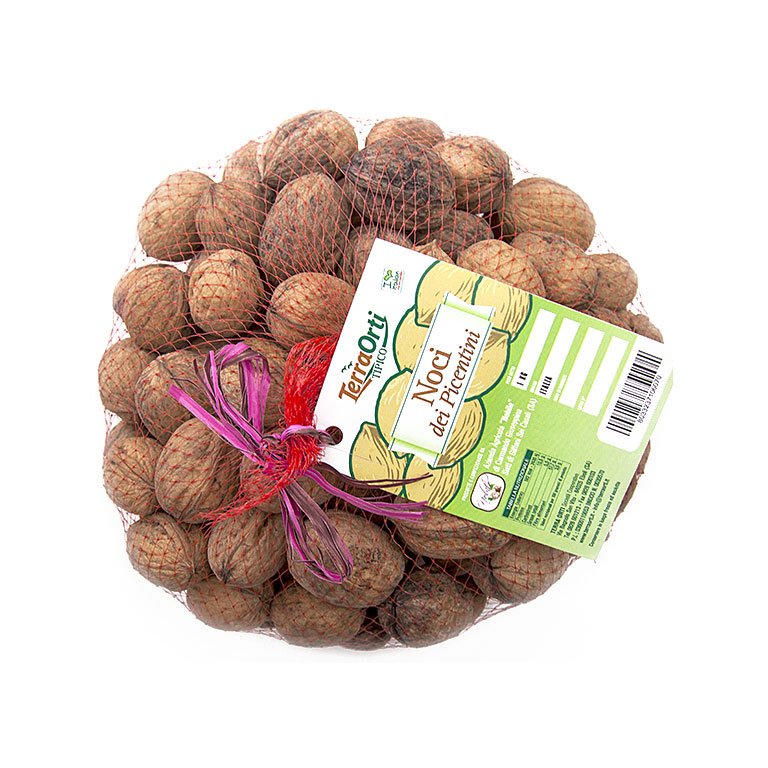 Noci con Guscio Secche 1 KG - Tipicalitaly